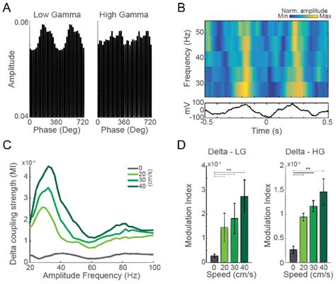 Delta Phase Modulates The Amplitude Of Gamma Oscillaons A