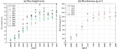 Figure 4 From Estimation Of Rice Height And Biomass Using Multitemporal
