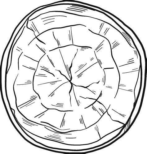Tree Trunk Coloring Page ColouringPages