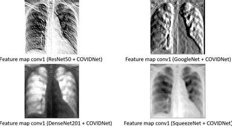feature maps from the first convolutional network of the pre trained