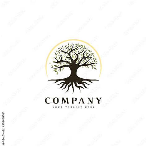 Oak Banyan Tree Logo Design With Tree And Root Vector Illustration For Tree Of Life Logo Design