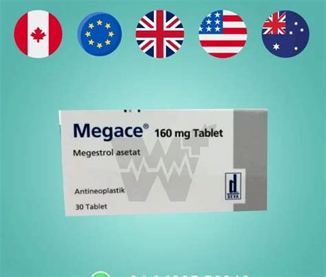 Megestrol Megace 160 Mg Tablet At ₹ 400stripe India Surat Id