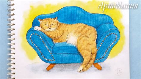 Котик лежит на диване 91 фото