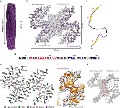 Cryo Em Structure Of Huprp23 144 Amyloid Fibrils A Cryo Em Density Map