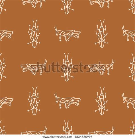 Seamless Background Grasshopper Pest Gender Neutral Stock Vector