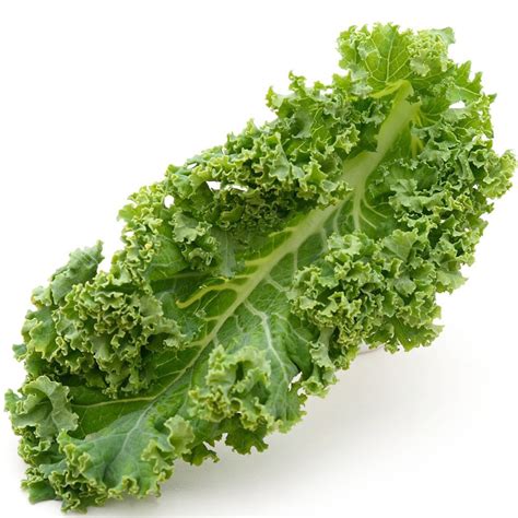绿羽衣甘蓝种子卷叶甘蓝菜籽菜园阳台四季蔬菜种孑榨汁沙拉青菜籽 虎窝淘