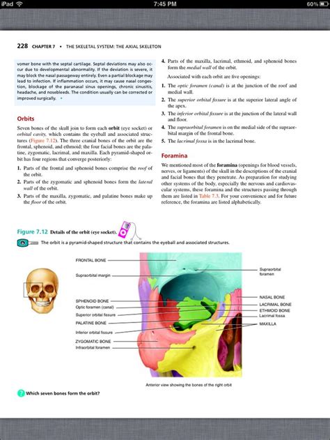principles of anatomy and physiology chapter 7 the skeletal system