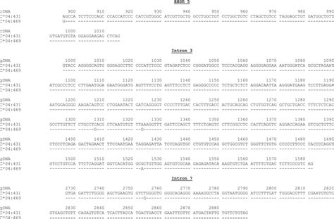 Alignment Of The Novel Hla‐c 04 469 Allele With The Closely Related Download Scientific Diagram