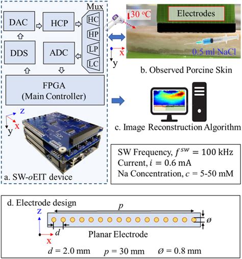 Experimental Setup For Sw Eit Using Porcine Skin Download Scientific Diagram