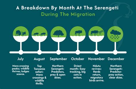 Best Time To See The Great Migration Tanzania Safari Serengeti
