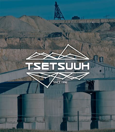 ЦЭЦҮҮХ ТРЕЙД ХХК Нүүр хуудас