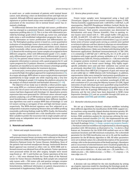 Solution Reverse Phase Protein Array Based Tumor Profiling Identifies