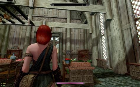 Enb Question Skyrim Technical Support Loverslab