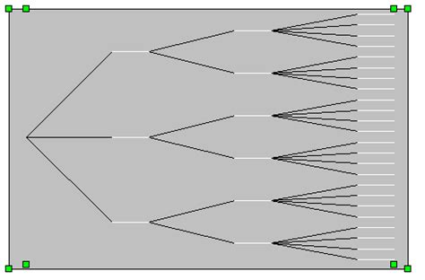 Blank Tree Diagram Template