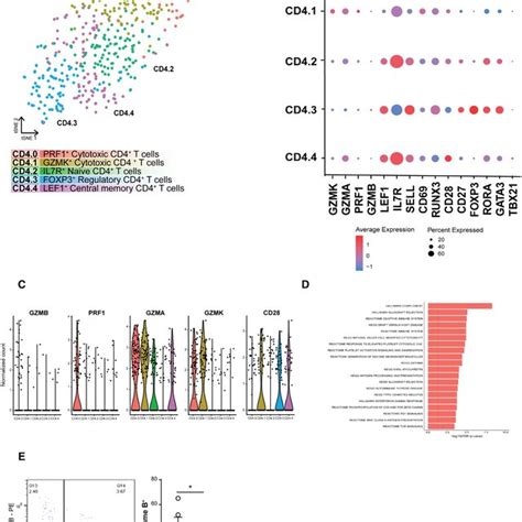 Subclustering Of Cd4 T Cells Revealed 5 Distinct Populations A Tsne