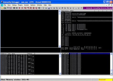 Windows Exploitation Egg Hunting