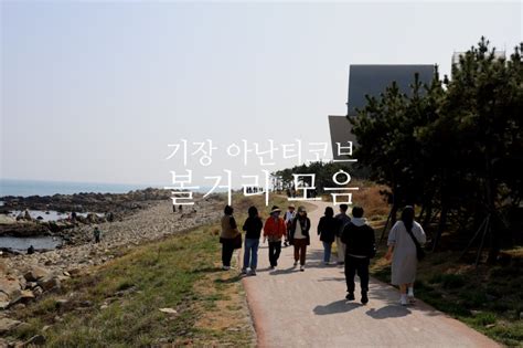 기장 여행코스 아난티 코브 카페 오시리아 해안산책로 등 상세 안내 캐비네 드 쁘아송 이터널저니 등 네이버 블로그