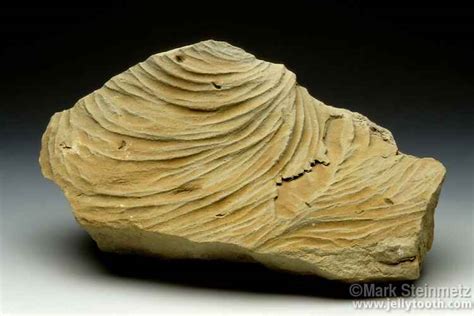 How To Identify Siltstone — Field Tests Properties And Rockhounding