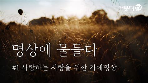 명상 자애명상 사랑하는 사람을 위한 자애명상 명상에 물들다 1 Youtube