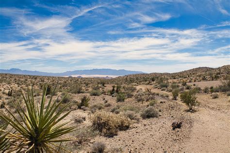 Mojave Preserve Day 13 Cinder Cones To Kelso Walking To The Light