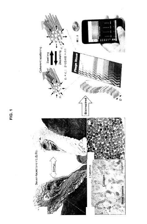 Biomimetic Virus Based Colorimetric Sensors Eureka Patsnap