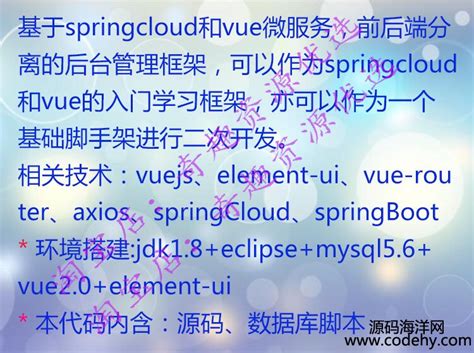 2062 Java 敏捷开发框架 权限 Springcloud Springboot Vue源代码 程序 源码海洋网