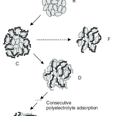 Scheme Of Microparticle Preparation A Protein Solution B Protein