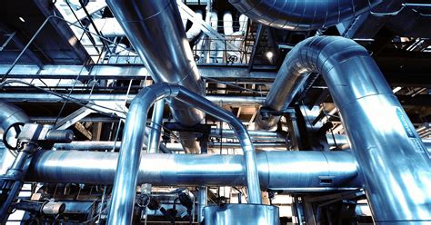 European Fermentation Centre 撸撸视频app Theobald