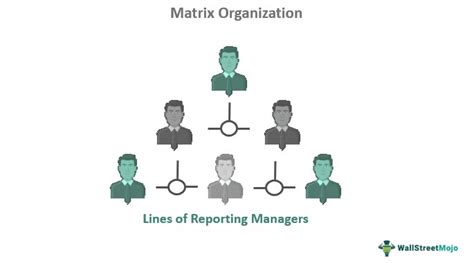 Matrix Organization What Is It Structure Types Examples