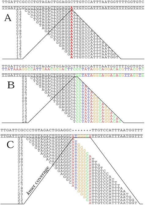 The Query Sequence Is Bracketed By Two Lines With The Reference