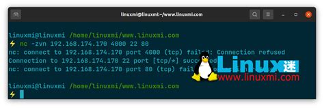 在 linux 中使用 netcat 命令扫描端口 com home
