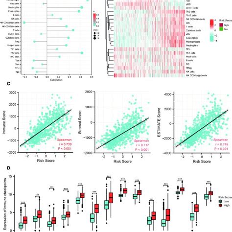 Immune Related Analysis Of The Risk Model In The Tcga Cohort A The