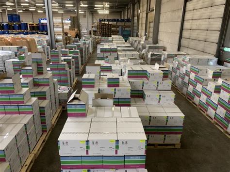 De Uitlevering Van Uienzaad Is Begonnen De Groot En Slot Bv