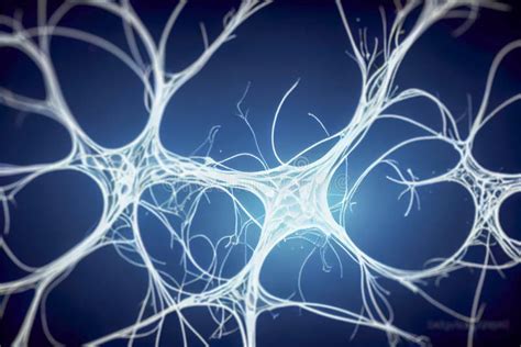 Neurons Brain Cells Neural Network Stock Illustration Illustration Of Medicine Signal