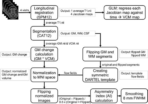 Csf Pathway Flowchart