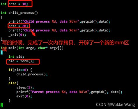 进程线程 二 fork、vfork、clone，写时拷贝 cow技术 线程是 fork还是vfork csdn博客