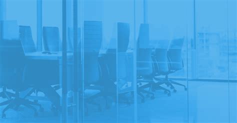 A Conversation With Brandie Mcdaniel Cyancos New Commercial Director