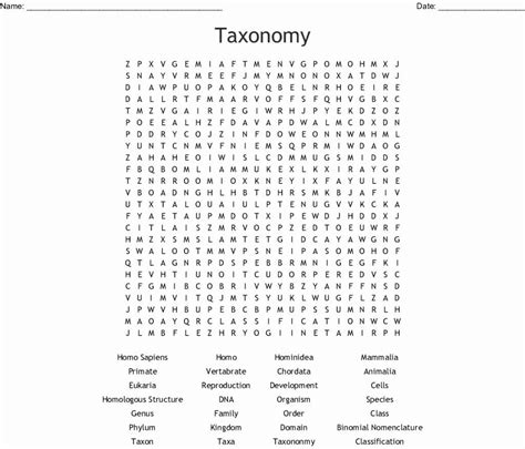 Biological Classification Worksheet Answers Pro Worksheet