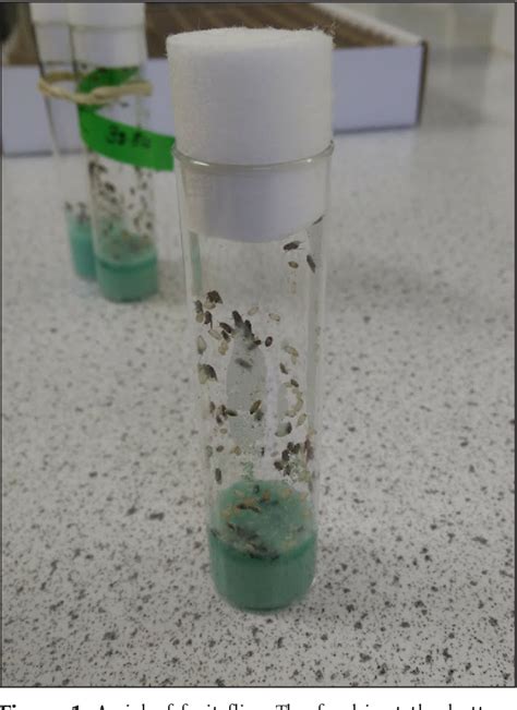 Cartesian Coordinate Robot Semantic Scholar