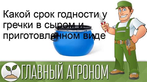 Какой срок годности у гречки в сыром и приготовленном виде - YouTube
