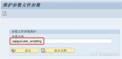 自己动手实现 SAP GUI 自动化 知乎