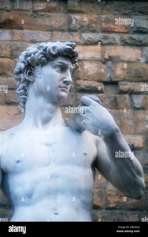 How To See Statue Of David In Florence At Max Renwick Blog