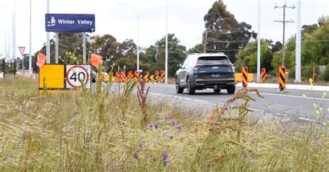 City Of Ballarats Grass Slashing On Hold Thanks To Sodden Ground The