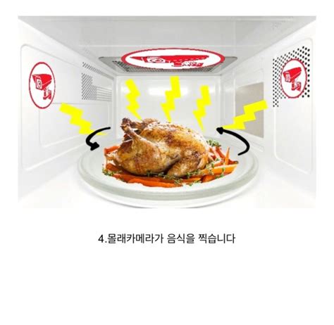 문과도 이해하는 전자레인지 작동원리
