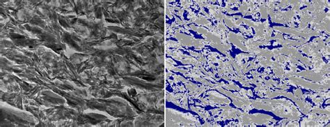 Tem Micrograph Of Compacted Idp And Associated Segmented Image With A Download Scientific