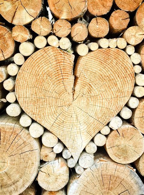 銭研究室 エネルギー・脱硫・バイオマス｜東京農工大学 銭研究室 東京農工大学｜バイオマス、触媒、脱硫