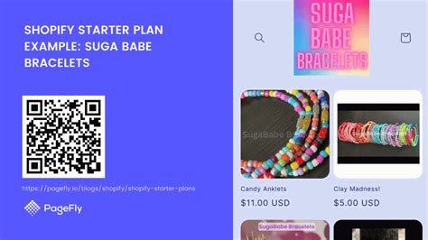 Shopify Starter Plan Best Plan For Beginners