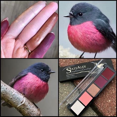 Eyeshadows — StasyAlex Belarus