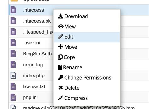 ریدایرکت کردن به با Htaccess هاستیدا