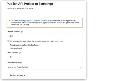 Publishing API Projects To Exchange MuleSoft Documentation